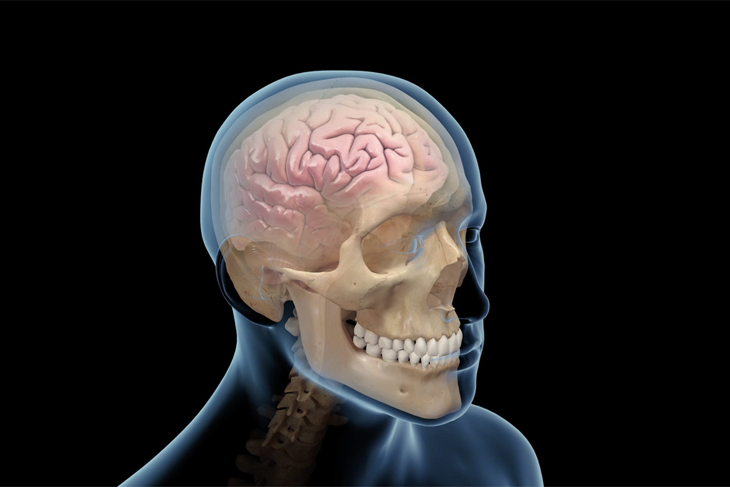 Pituitary Tumor – Symptoms, Diagnosis, Treatment – Mercy, Baltimore